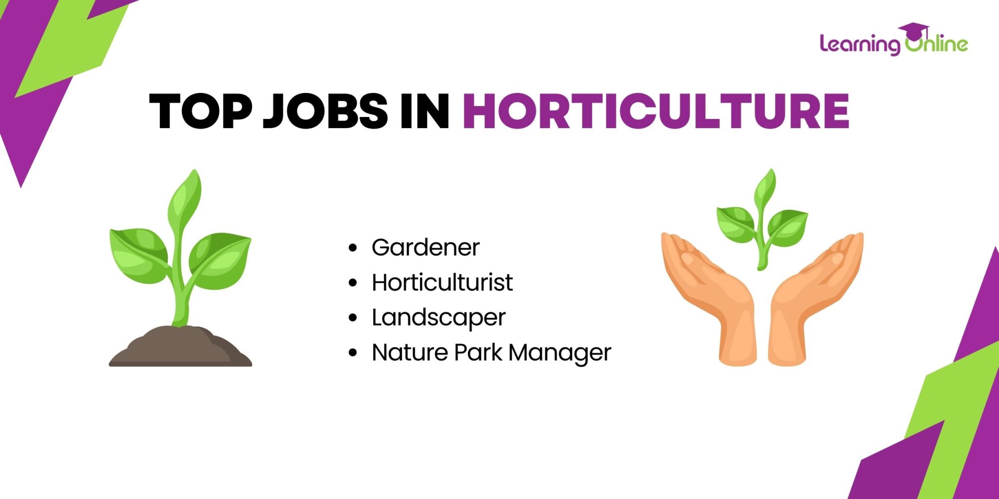 How to Become a Horticulturist in Australia