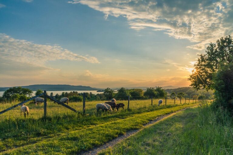Agriculture & Farming Courses Online Australia | My Learning Online