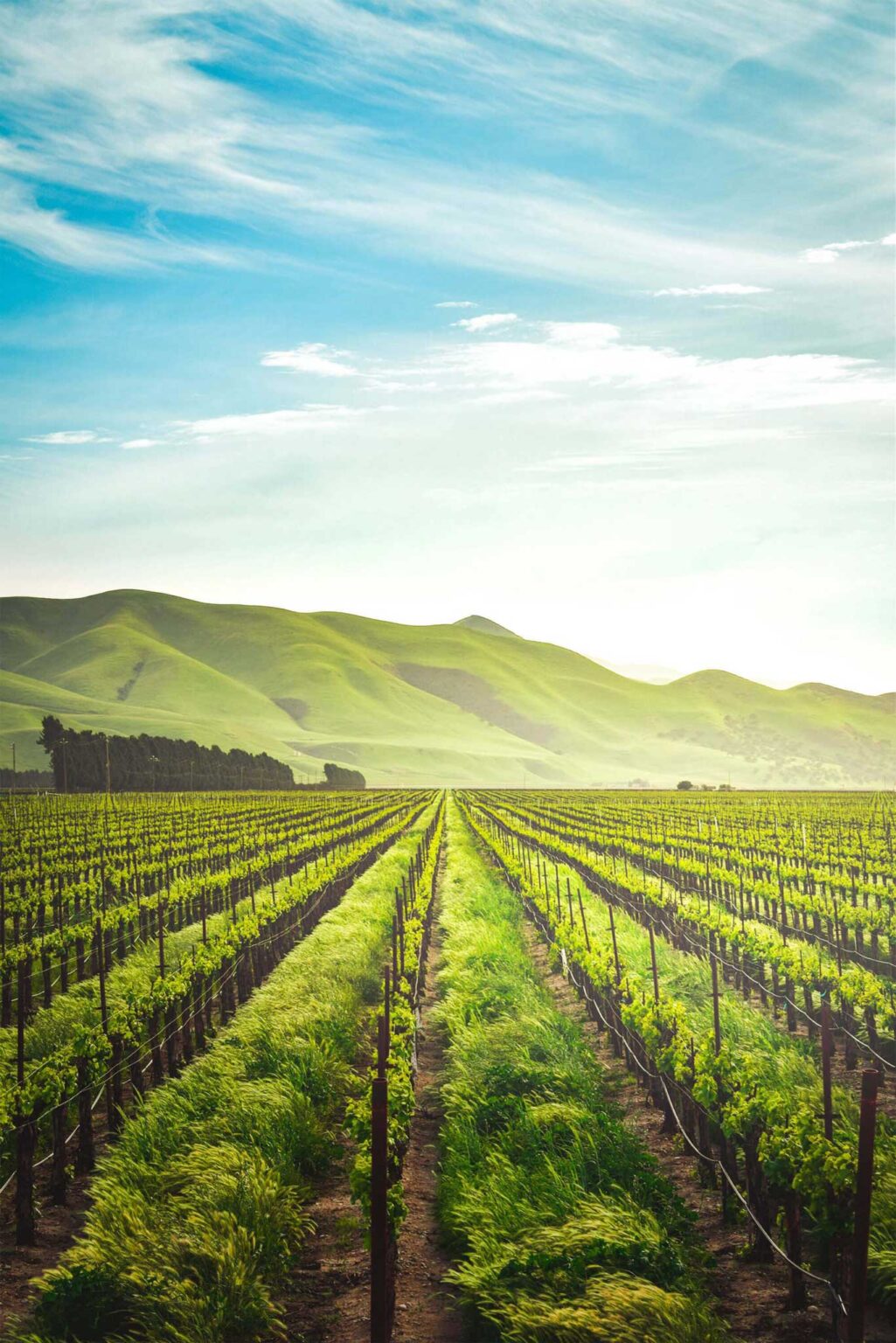Organic Farming & Sustainable Agriculture - Learning Online