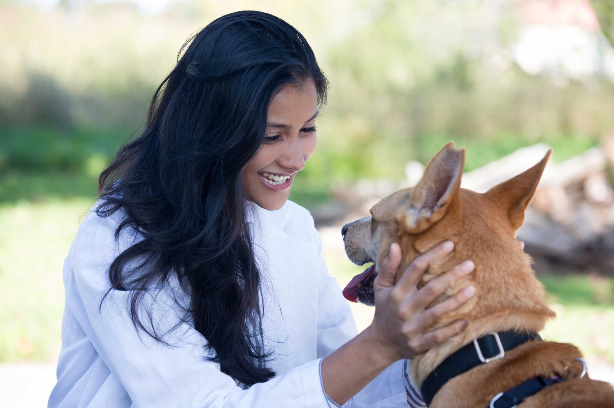 Top 10 Animal Care Careers in Australia | Jobs, Salaries & How to Get ...