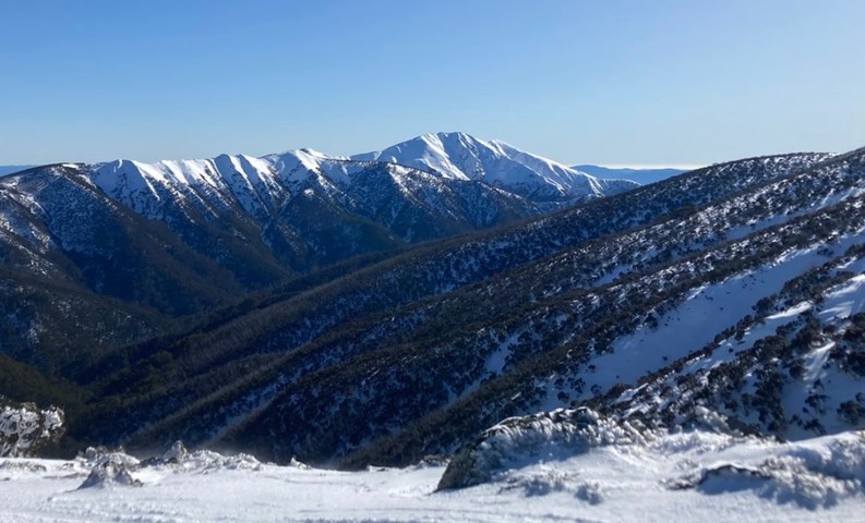 Australia's Top 5 Most Threatened Landscapes - Conservation Success Stories