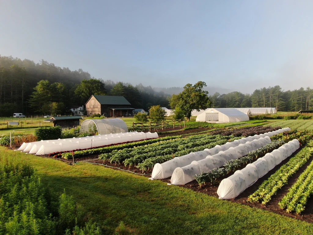 Horticulture Certificate | Online Gardening & Plant Science