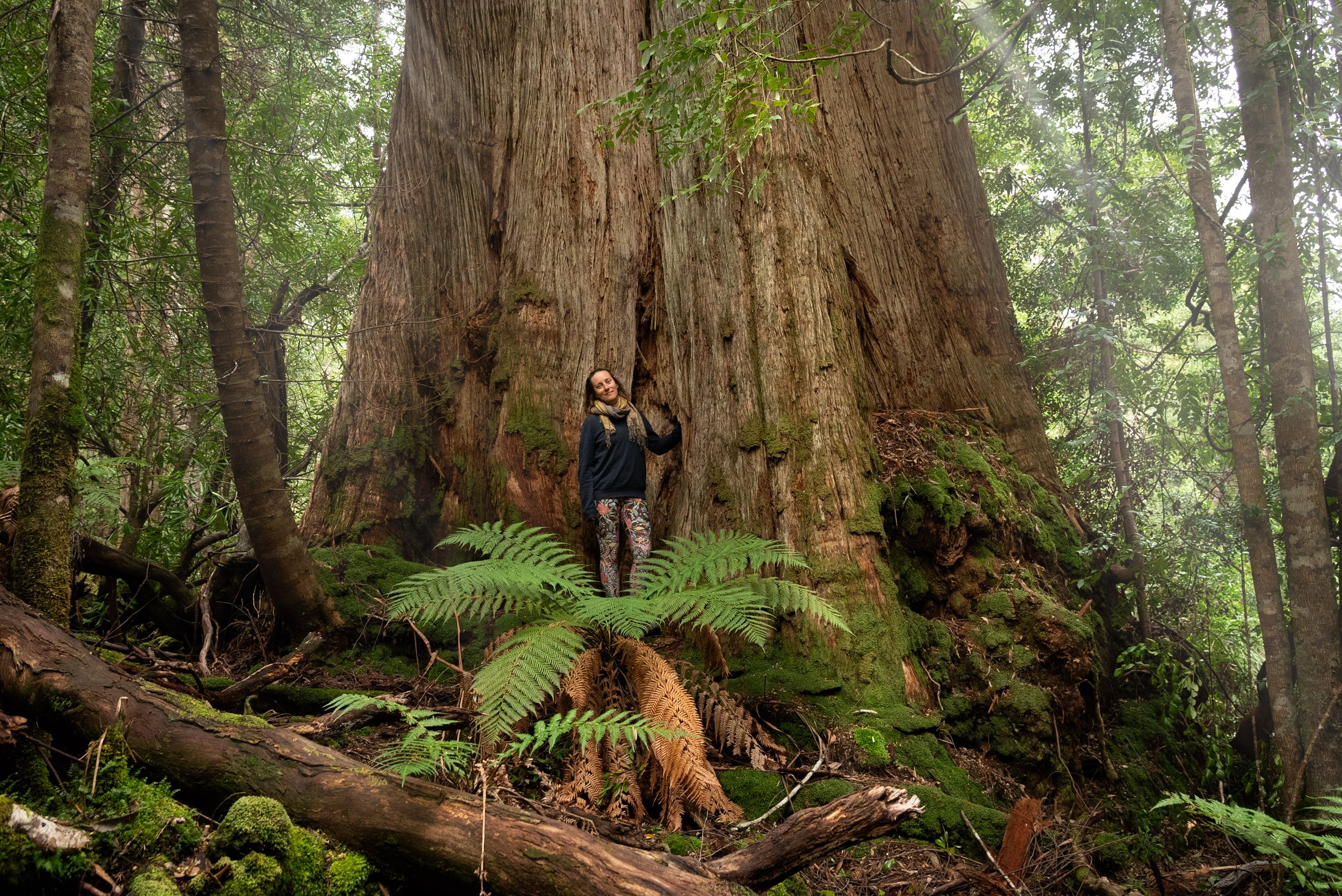 Australia's Top 5 Most Threatened Landscapes - Conservation Success Stories